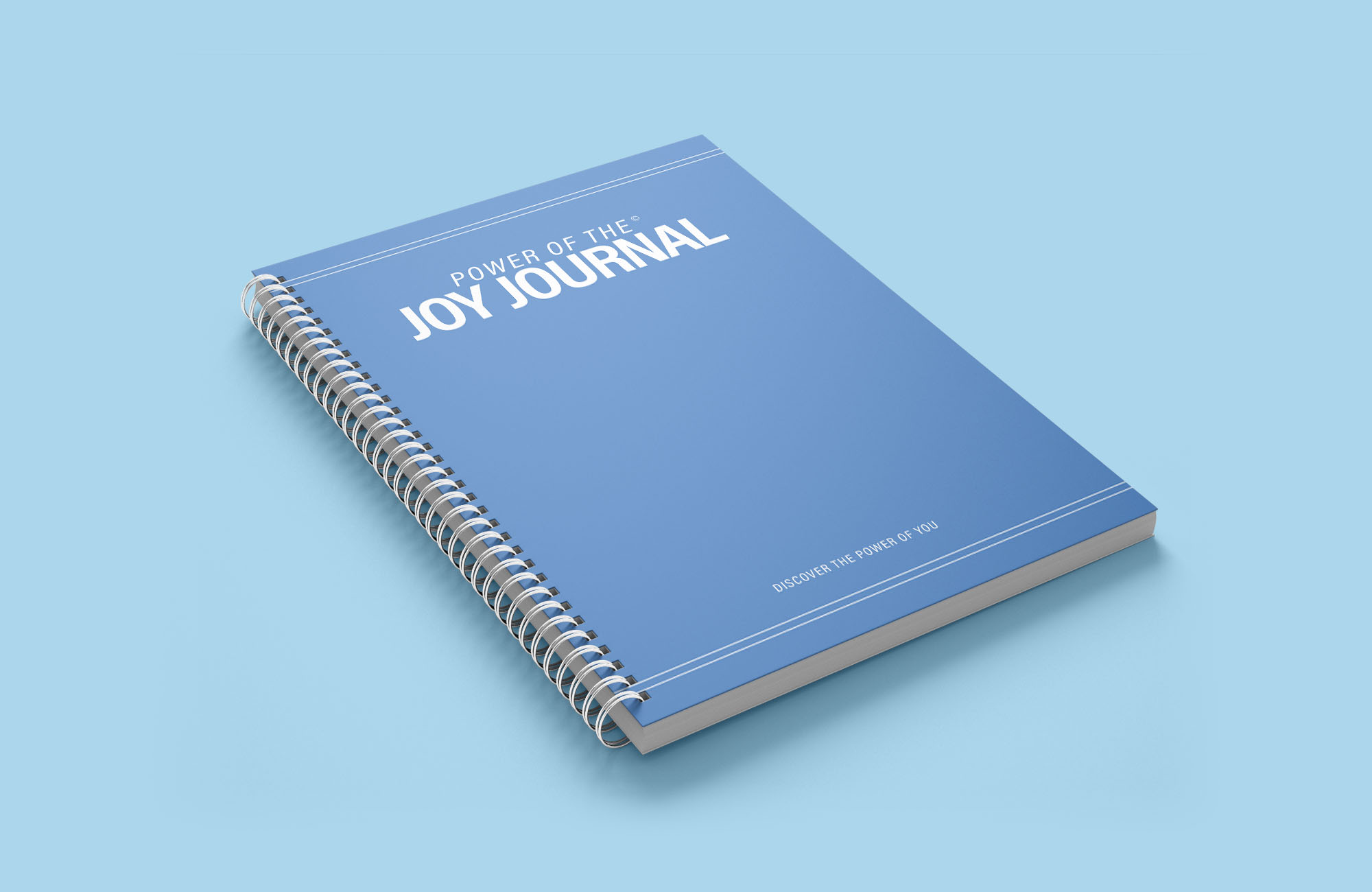 Joy Journal - Laura May Culver